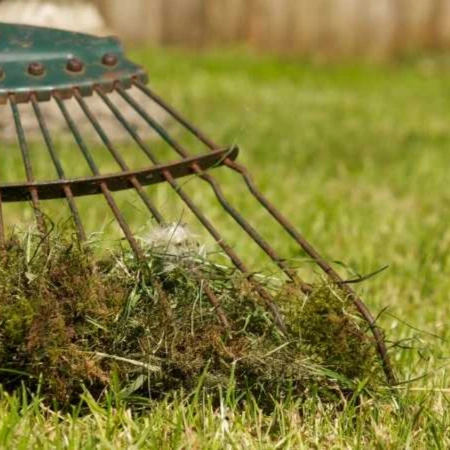 Things to Never Do to Your Lawn in Spring | Milorganite