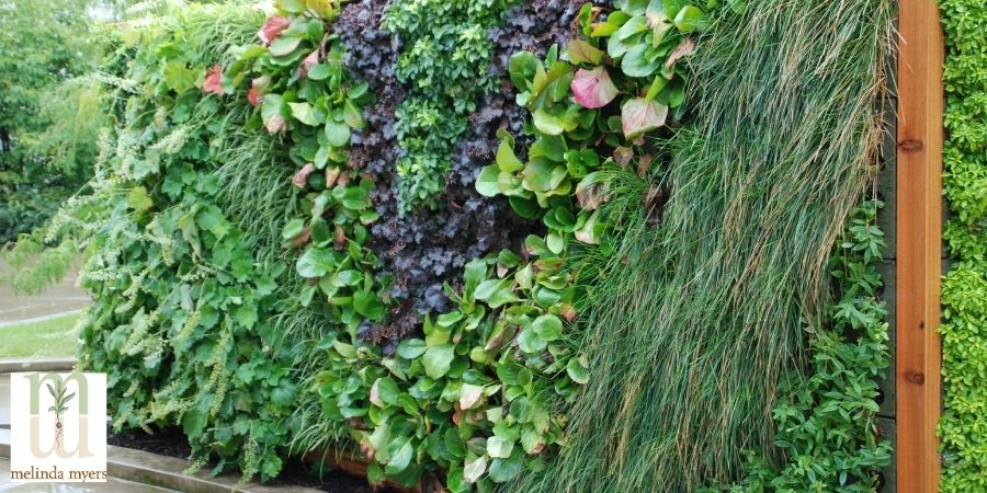 How to Grow a Vertical Garden | Milorganite