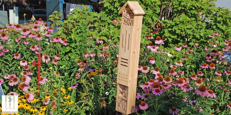 Planting a Garden for Bees | Milorganite