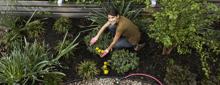 Learn 5 Simple Steps to a Healthy and Beautiful Garden | Milorganite