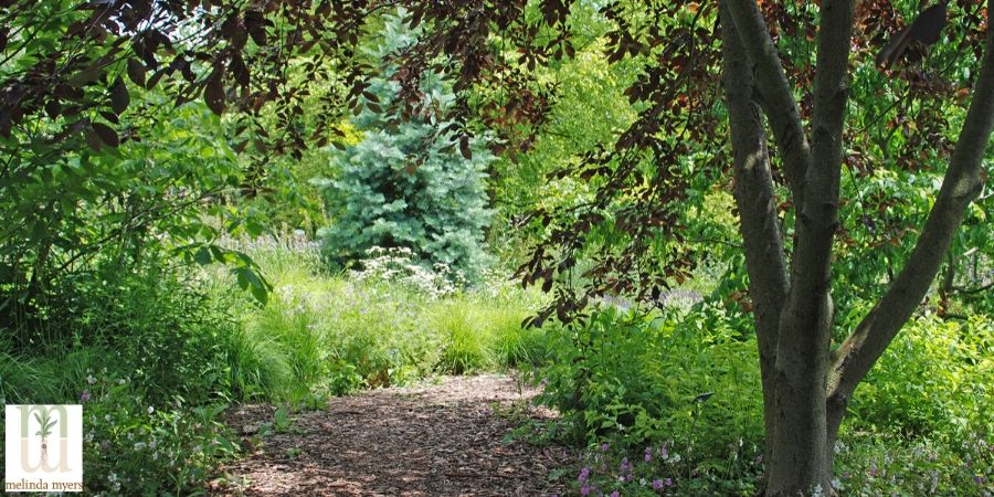 Learn the Health Benefits of Connecting with Nature
